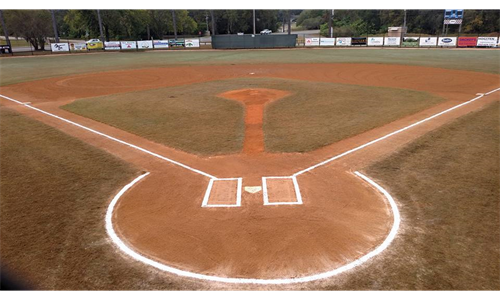 Home [www.ocalabaseball.com]