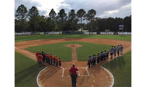 Home [ocalabaseball.com]